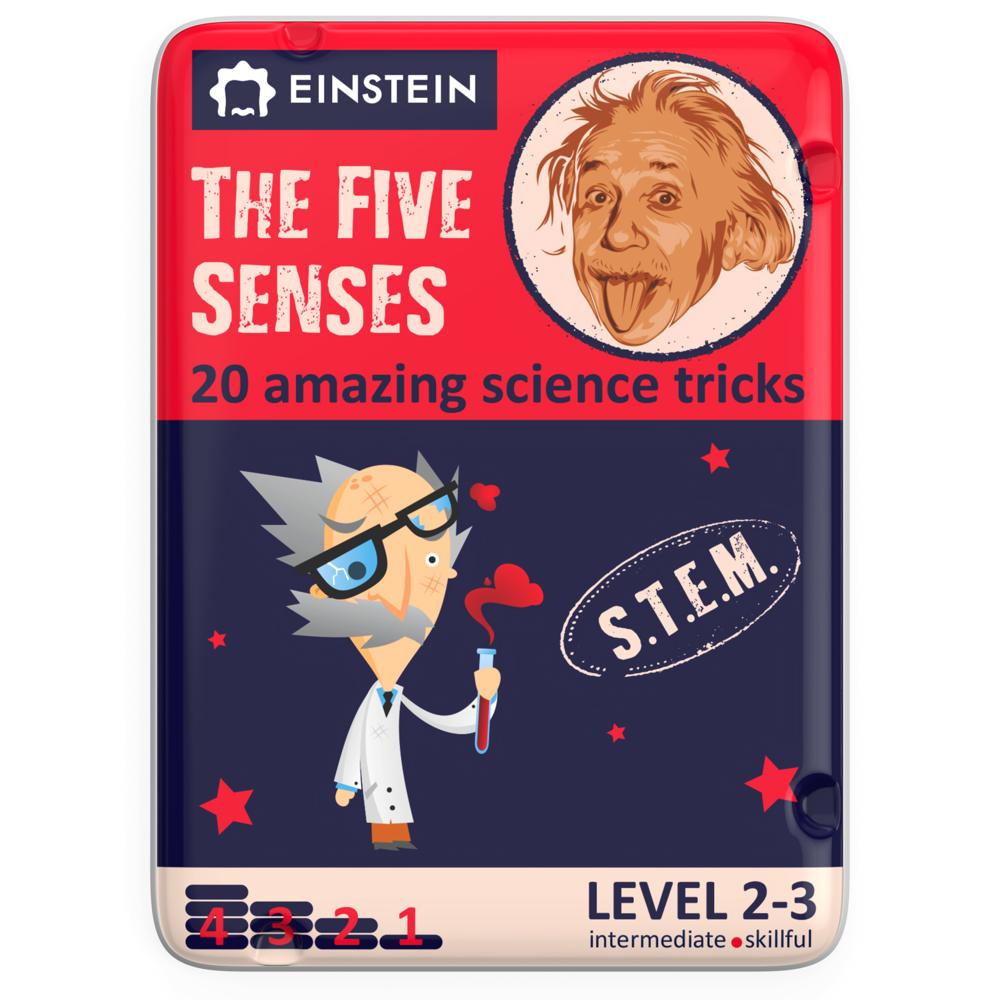 The Five Senses - Activity Cards – Marcia May